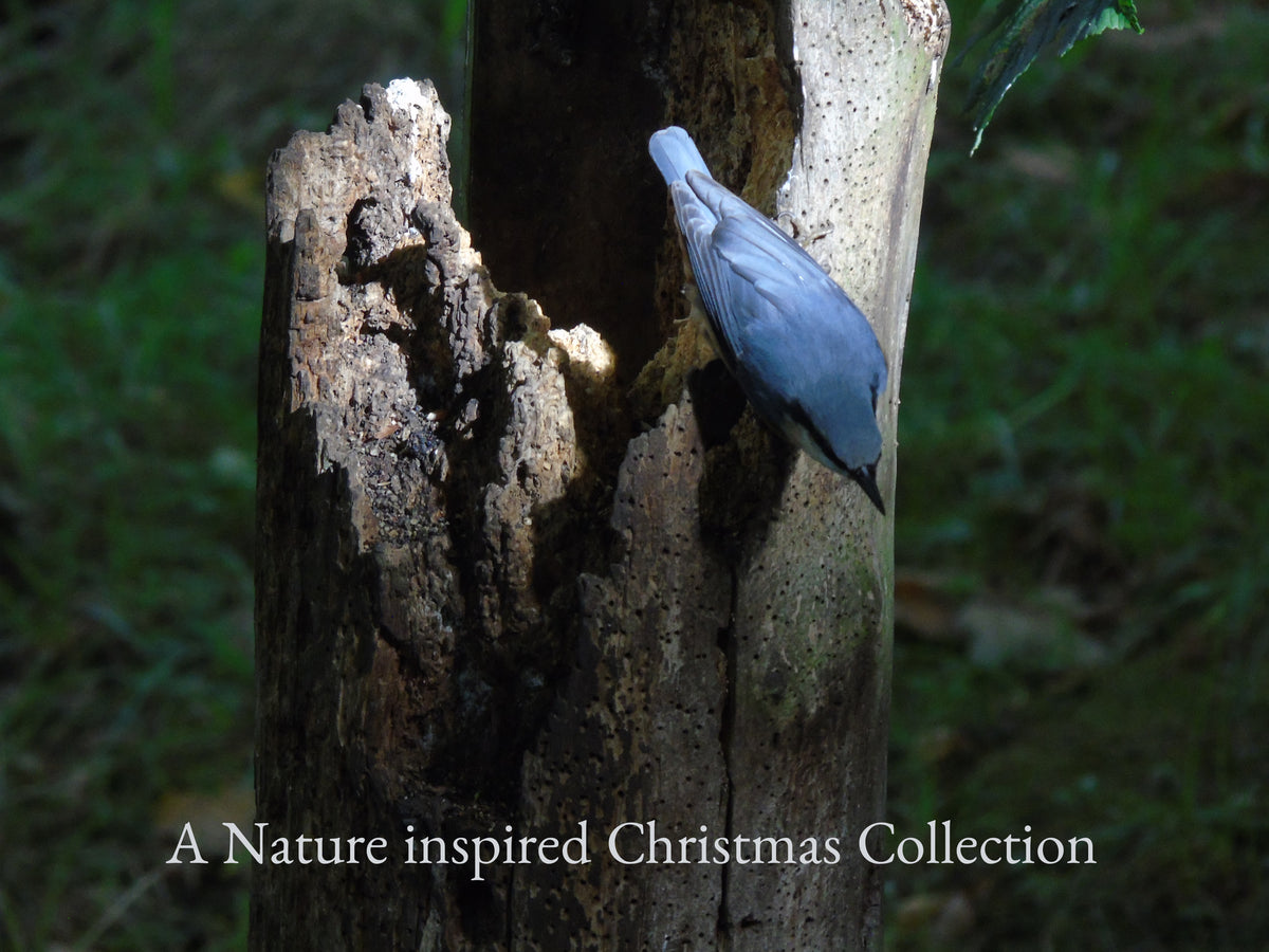 Inspiration behind this year's Christmas collection – littlebirdydesignsuk