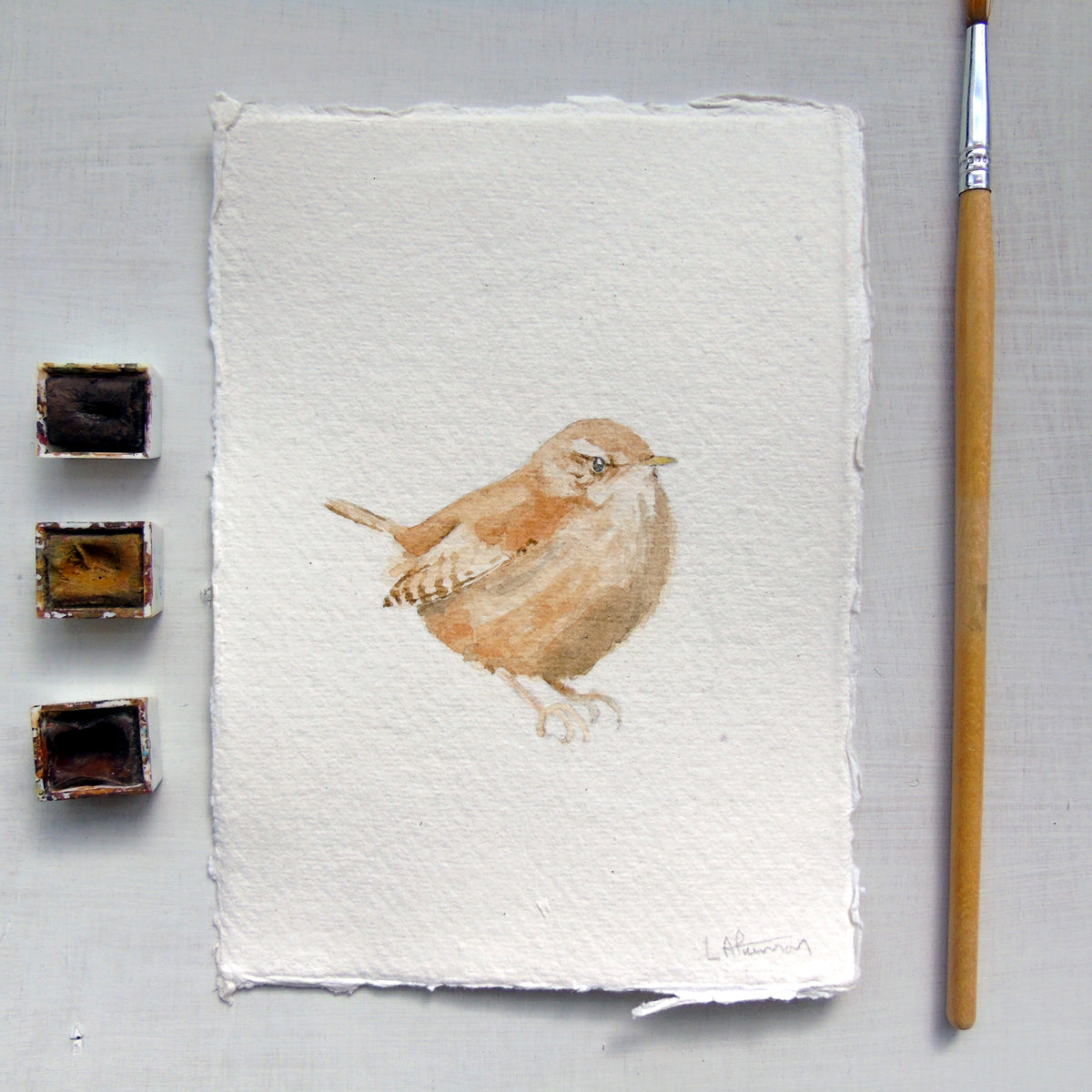 Garden Bird Wren Original Watercolour Painting Unframed ...
